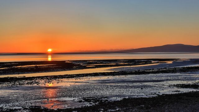 Cambio climático: qué es el carbono azul y por qué es tan importante para la lucha contra el ...