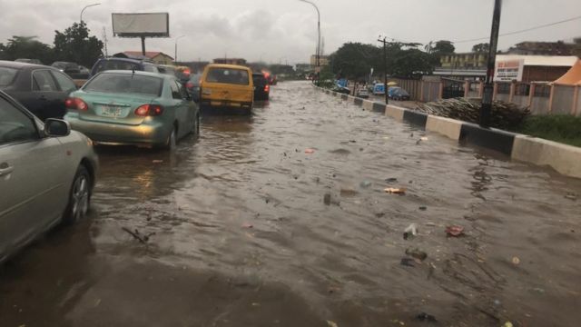 Lagos heavy rain fall two buildings, trees and electric poles - BBC ...
