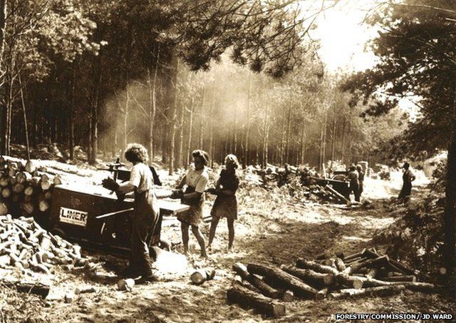 The Women's Timber Corps: Who were the 'Lumberjills' and what did they ...