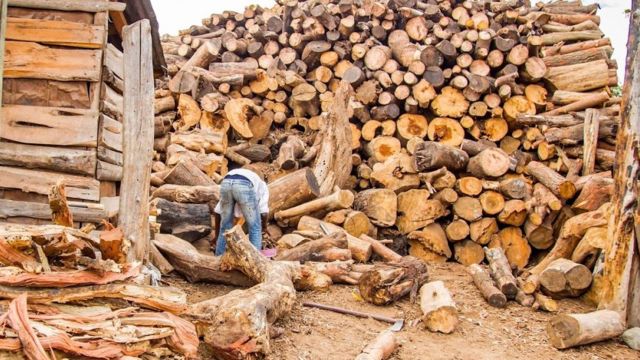 Matumizi ya nishati mbadala yanaweza kunusuru uharibifu wa mazingira ...