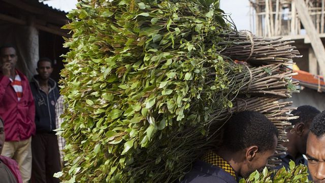 Dr Zarihuun Mahaammad: Jimaa dhorkuun gonkumaa waan danda'amu miti ...