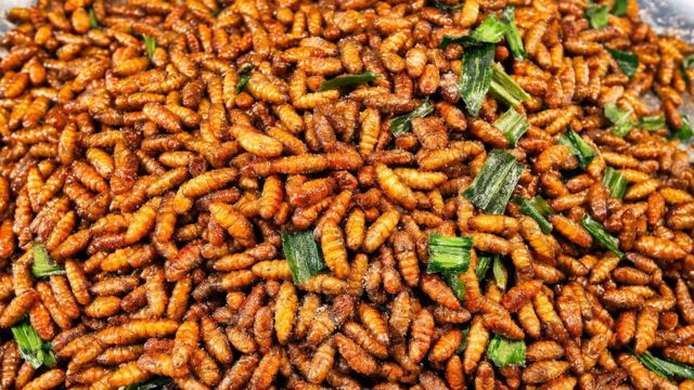 Hrana i insekti: Da li skakavci mogu da zamene govedinu - BBC News na ...