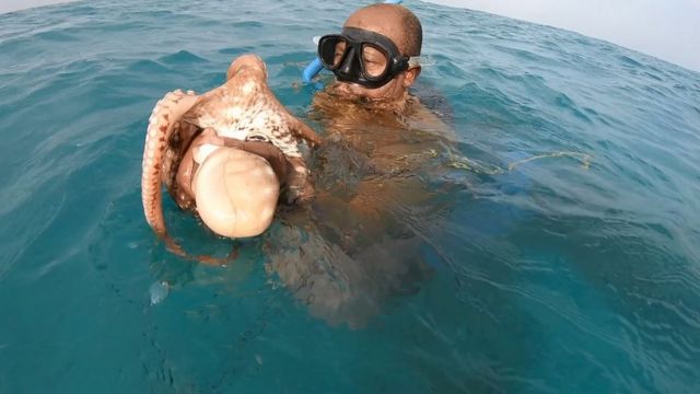 Pweza na supu yake ina manufaa gani ya kiafya? - BBC News Swahili