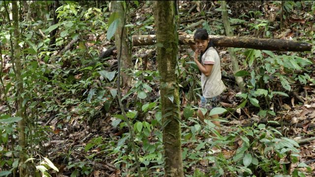 Punan Batu: Kisah suku pemburu-peramu terakhir Kalimantan, 'sampai ...