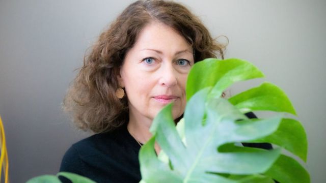 ‘Suécia vê crescer desigualdade, individualismo e culpa imigrantes ...