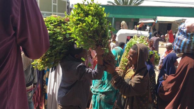 Daldala jimaa: Michooma Awwadaayi fi jimaa, hamma yaaddaniin olitti ...