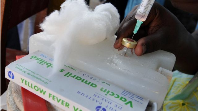 Yellow Fever: "We dey target over 1.2 million people for Borno - WHO ...