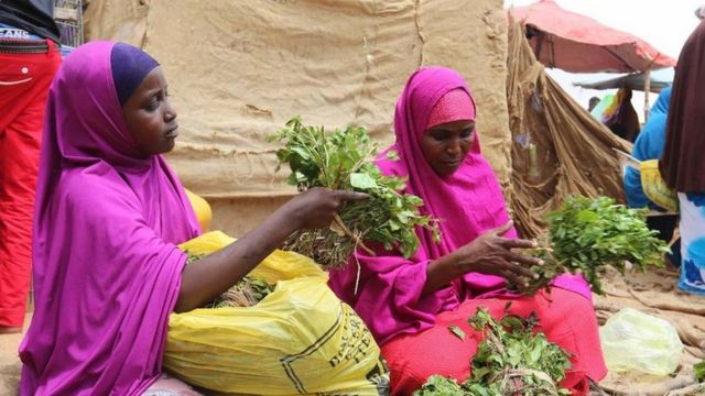 Qaad ka dagay Soomaaliya inkastoo la mamnuucay - BBC News Somali