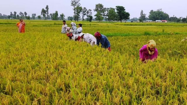 जग्गा वर्गीकरण र कित्ताकाटबारे तपाईँले थाहा पाउनैपर्ने चार मुख्य कुरा ...