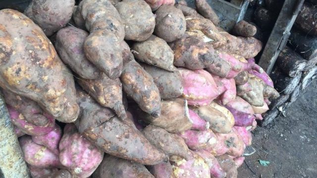 Umunsi mpuzamahanga w’ibiribwa, mu Rwanda hari ibihagije? - BBC News Gahuza