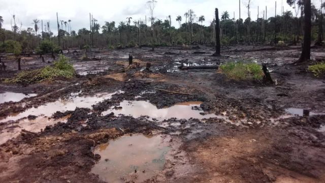 'Port Harcourt soot pollution need more logistics to stop am' - Prof ...