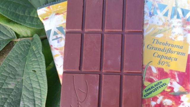 Cupulate: o desafio do 'primo' do chocolate que pode ajudar Amazônia ...