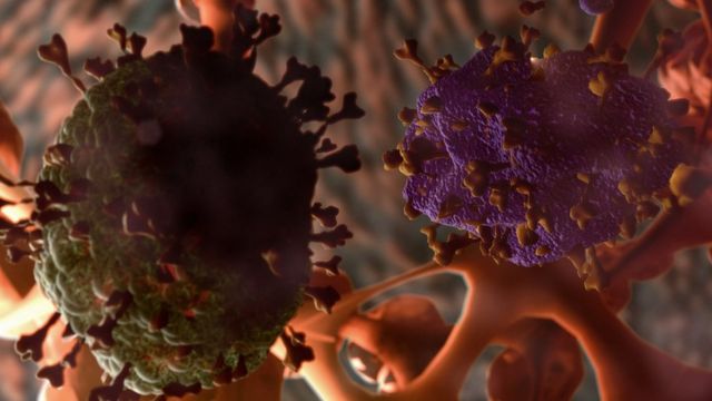 Coronavirus: los virus mortales que desaparecieron sin dejar rastro (y ...