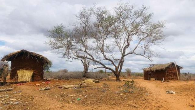 Kenya: Abana babwirizwa gufungura amababi arura kubera uruzuba - BBC ...