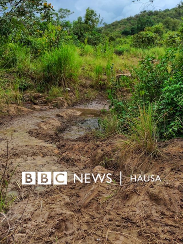 Mambila: Binciken BBC ya gano ba a fara aikin wutar Mambila ba shekara ...