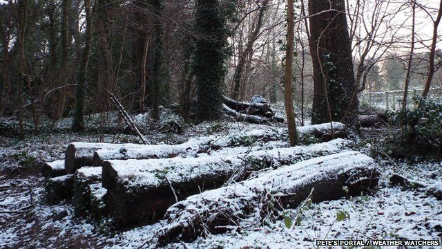 Gallery: Snow time like the present - BBC Weather