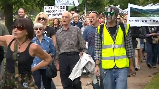 Hundreds attend Taunton anti-badger cull protest march - BBC News