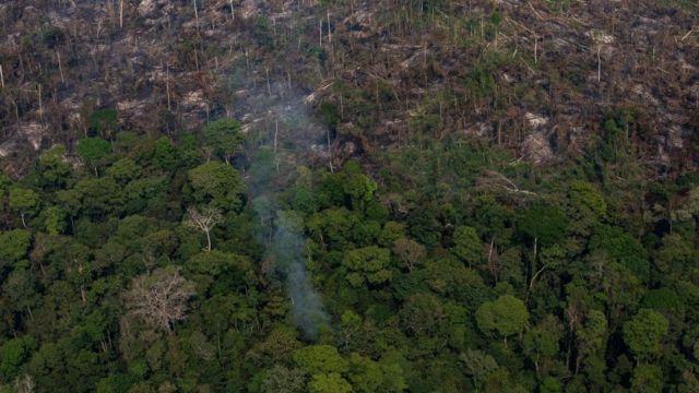 Incendios en el Amazonas: el G7 aprueba un fondo de US$22 millones para ...