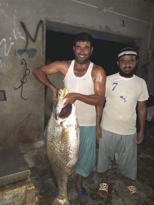 પાકિસ્તાન : બલૂચિસ્તાનમાં પકડાયેલી એક માછલી સાત લાખ 80 હજાર રૂપિયામાં ...