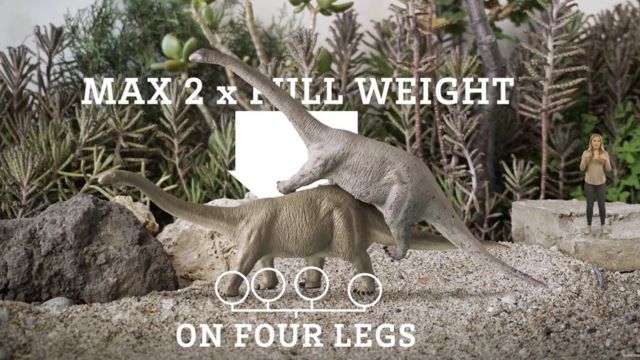 Những bí ẩn về cách 'yêu' của khủng long - BBC News Tiếng Việt