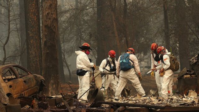 Ibidda saafaa Kaaliforniyaa: Lakoofsi namoota badanii 631 gaheera - BBC ...