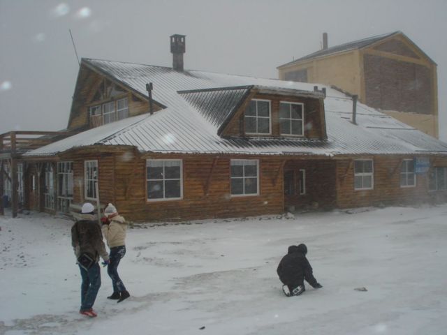 Desde el cobijo de una madre hasta los paraguas: tus fotos que retratan ...