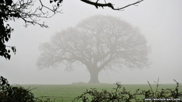 Gallery: One foggy Tuesday morning - BBC Weather