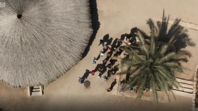 Bishiyar dabinon da ta wanzu zamanin Annabi Isa ta sake tsirowa a Isra ...