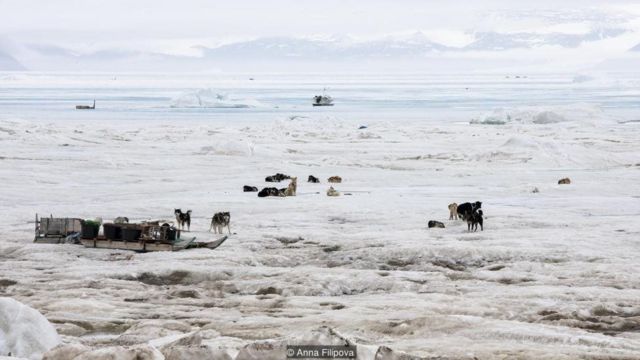 Thị trấn Greenland đang tan chảy ở Bắc Cực - BBC News Tiếng Việt