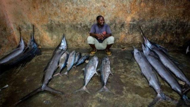 Halka ay u badan tahay in aan laga cunin cuntada badda ee Soomaaliya oo ...