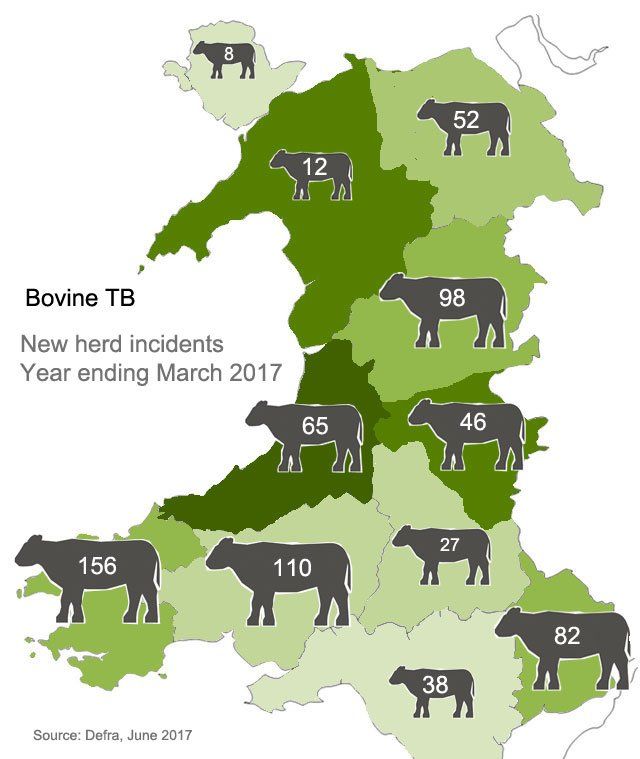 Bovine TB risk map outlined in new Wales approach - BBC News