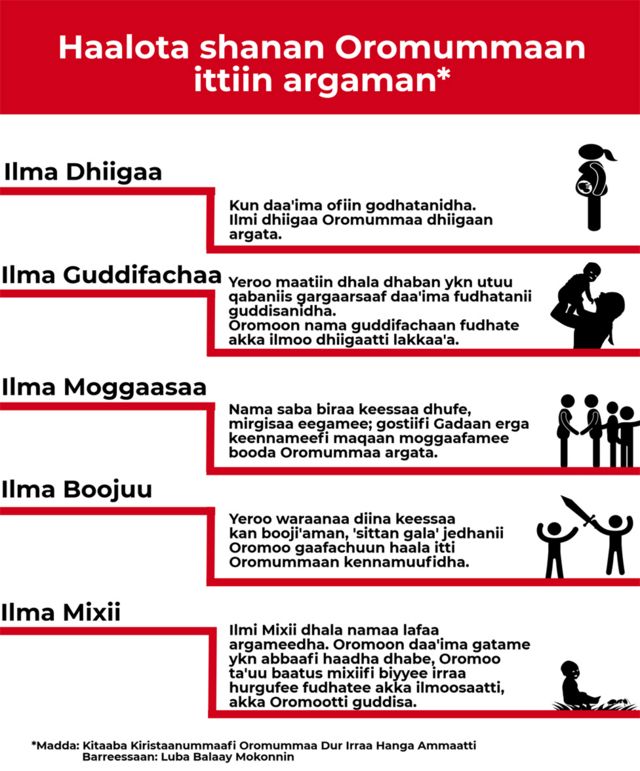 Moggaasa Oromoo, Obbo Galatoo; 'Ani Oromoo adiidha' - BBC News Afaan Oromoo