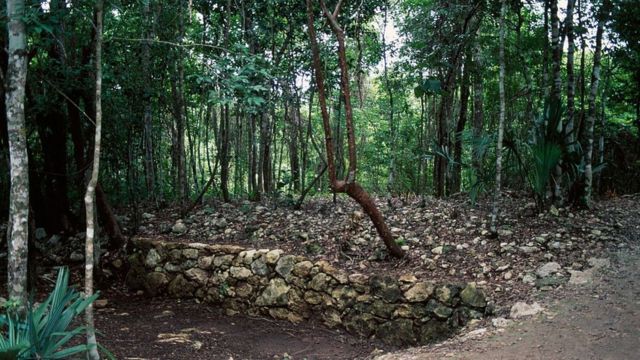Cómo era "el camino blanco", la gran autopista maya de 100 km cuyos ...