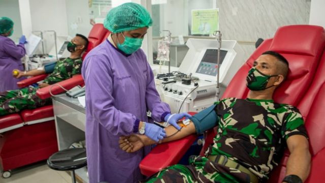 Covid-19: Terapi plasma darah mulai diuji klinis, pakar minta donor 'diseleksi hati-hati', tapi ...