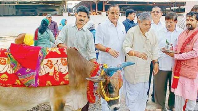 ගව ඝාතනයට වසර හතක සිර දඬුවමක් - BBC News සිංහල