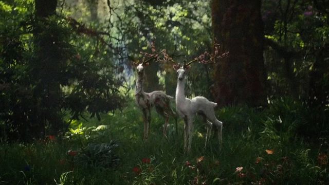 Čovečanstvo, genetski inženjering, evolucija: Zašto bi „post-prirodno ...