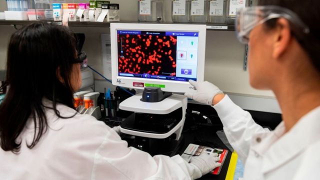 Coronavirus: qué se sabe sobre la mutación del SARS-CoV-2 (y qué ...