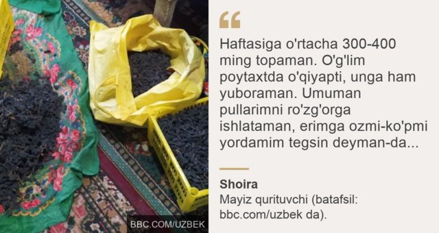 Yangiliklar: Oʻzbekiston qishloq ayollari qanday pul topmoqda ...