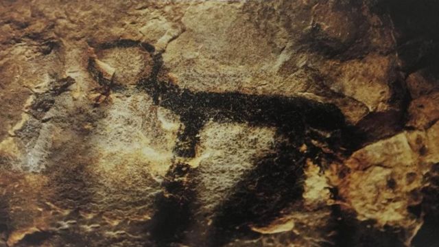 Waa'ee holqa Laga Odaa Dirree Dhawaa jiru hagam beektu? - BBC News ...