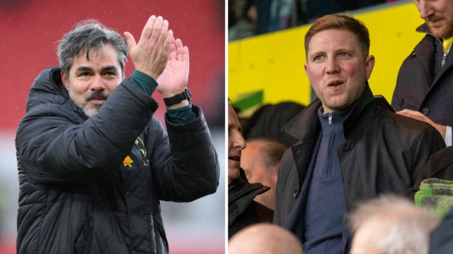 Norwich City - BBC Sport