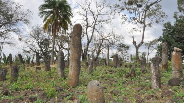 UNESCOtti kan galmaa’an Paarkiin Biyyaaleessaa Baaleefi dhakaan dhaabii ...