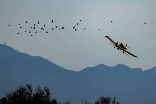 Fahamu sababu 5 zinazoweza sababisha ajali ya ndege - BBC News Swahili