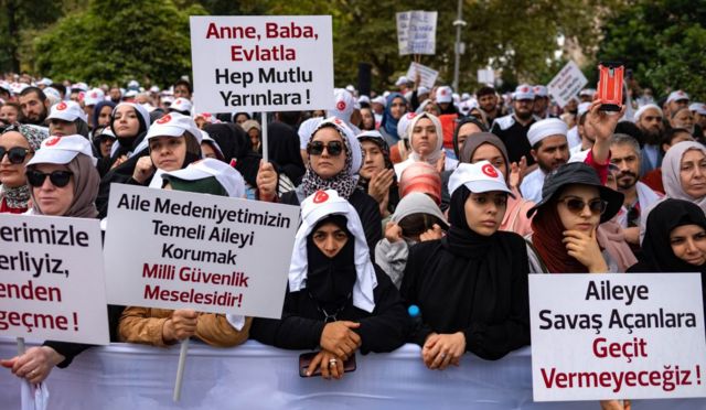 Seçim sonuçları: AKP'nin kaybettiği oylar hangi partilere gitti? - BBC ...