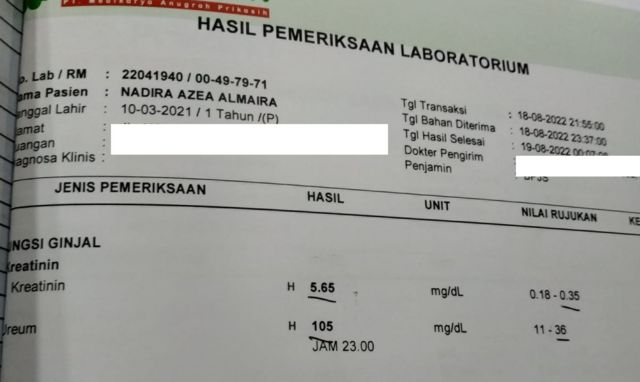 Gagal ginjal akut: ‘Cuma racun kuat yang bisa buat dia meninggal ...