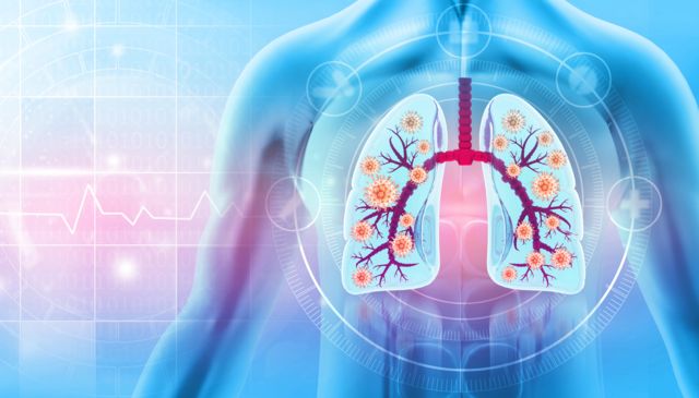 H3N2 : ਦੇਸ਼ ਭਰ 'ਚ ਫੈਲ ਰਿਹਾ ਇਹ ਵਾਇਰਸ ਕਿੰਨਾ ਖ਼ਤਰਨਾਕ ਤੇ ਕੀ ਕਹਿੰਦੇ ਹਨ ਡਾਕਟਰ - BBC News ਪੰਜਾਬੀ