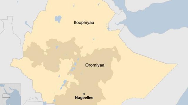 Nageelleen godina Boorana Bahaatti deebi'uu hordofee mormii ka'een ...