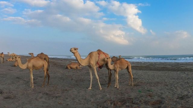 Maxaan ka naqaannaa deegaanka Lughaya ee la sheegay in dhul badeed ku ...
