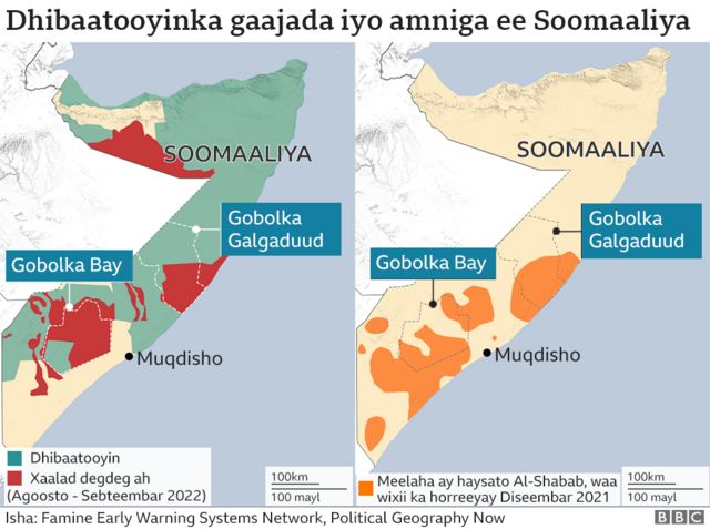 Maxay tahay cabsida Mareykanka laga qabo ee saameysay gargaarka ...