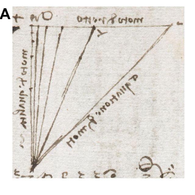 Leonard De Vinci : il avait compris la gravité bien avant Galilée et ...