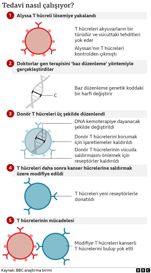 Kanser: İngiltere'de ilk kez kullanılan nükleobaz düzenleme tedavisinin ...